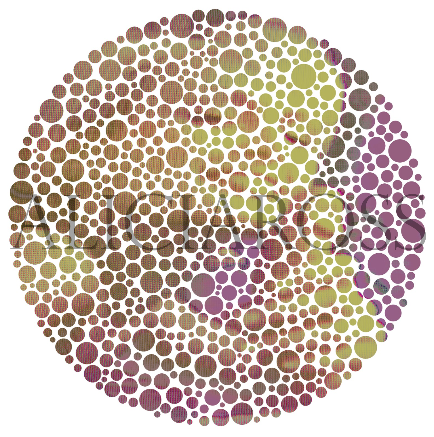 Ishihara Test Series | Stills