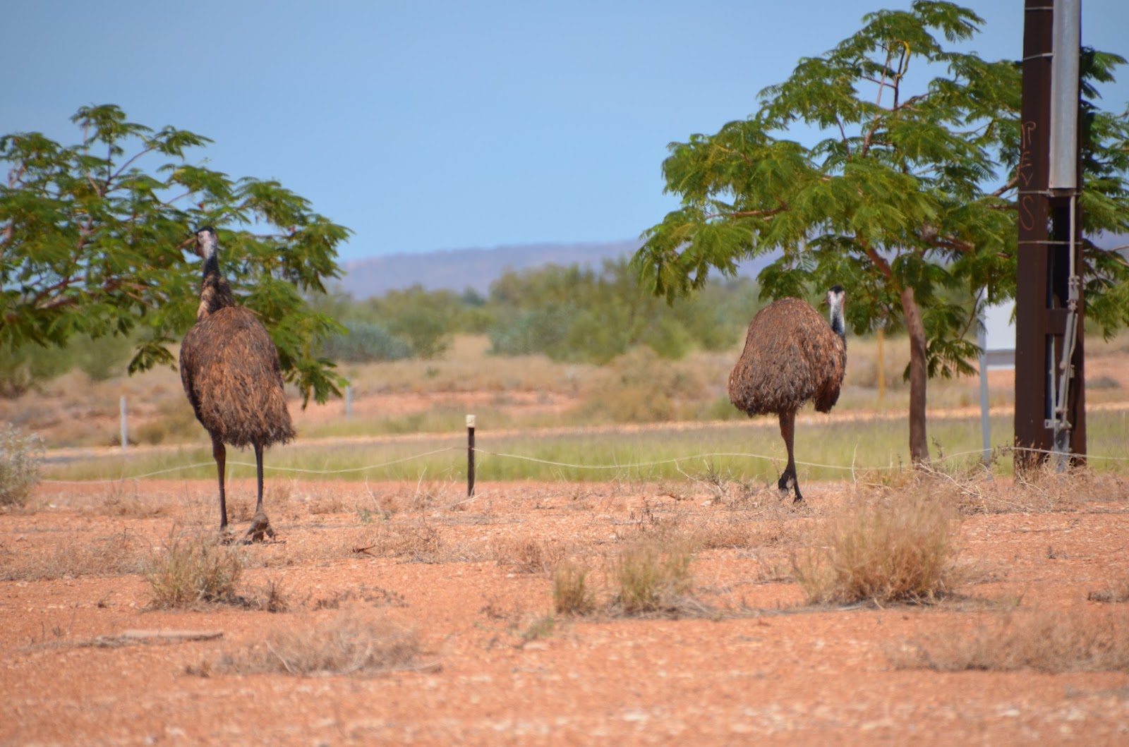 62 days and counting: EXMOUTH (AND CORAL BAY)