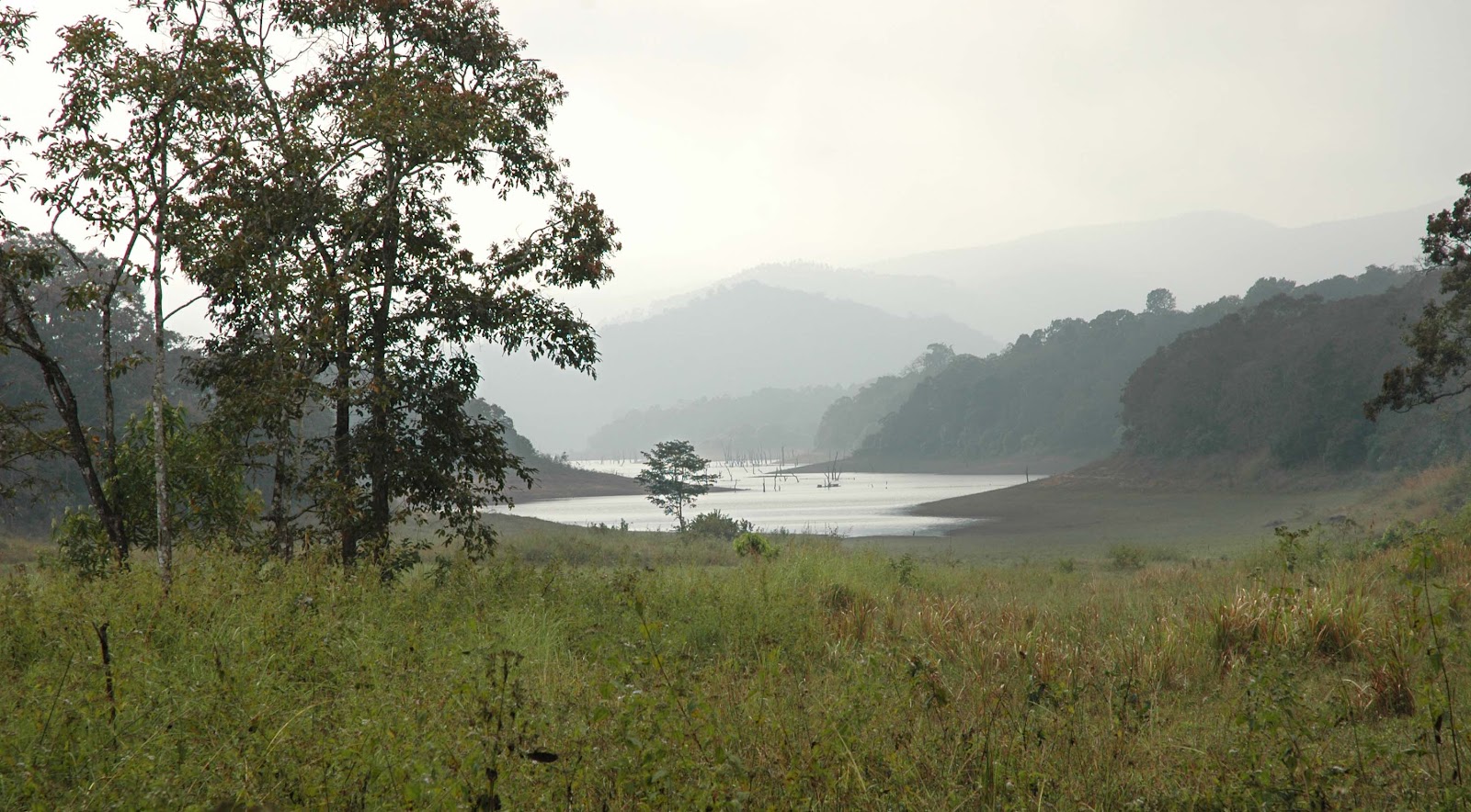 Periyar ~ India Tourist Destinations