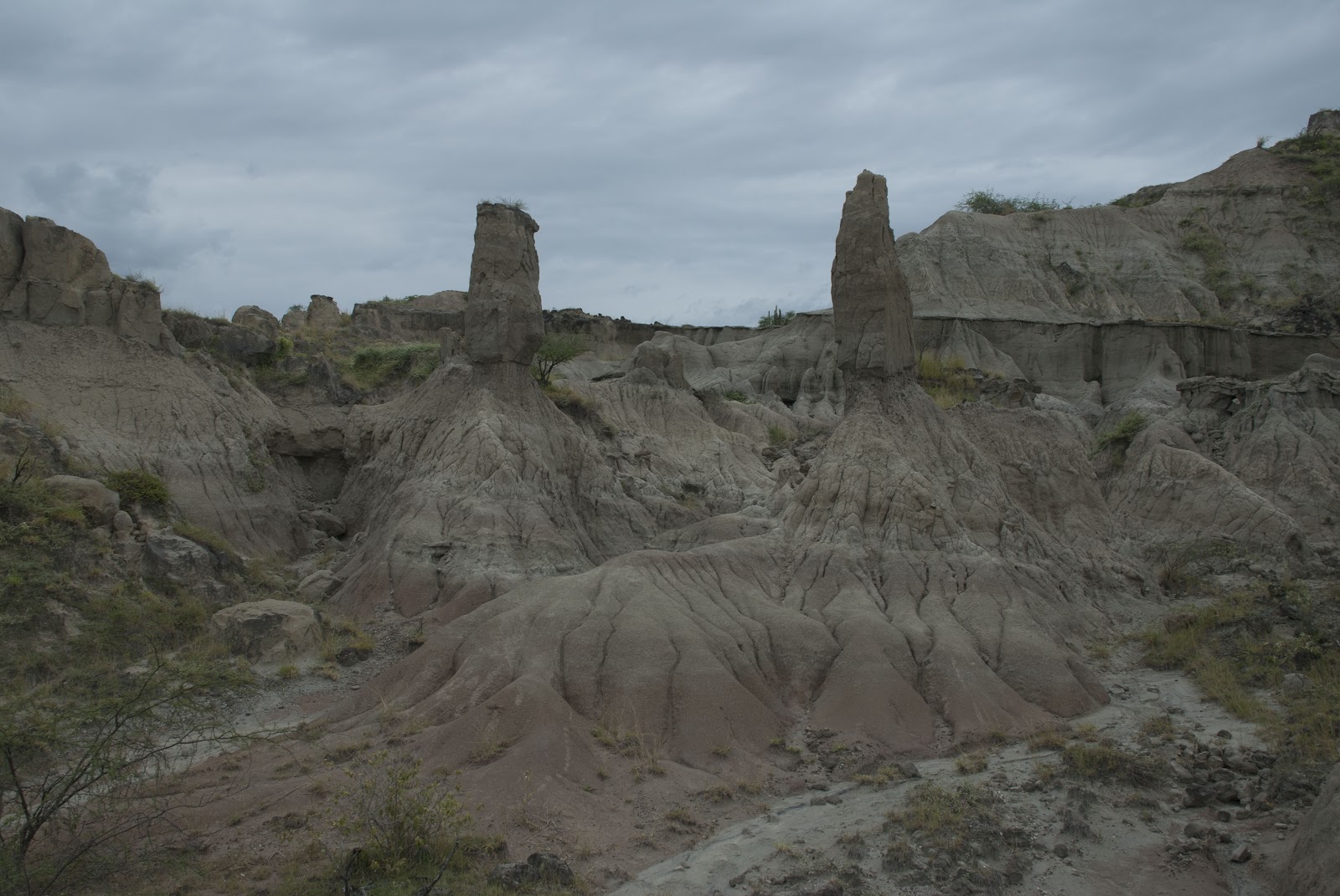 Series: CELARE VULTUS