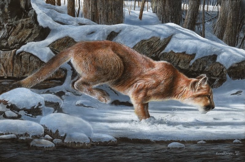 D.W.C. Animals Life - Painter Kevin Daniel - DANCE WITH COLORS