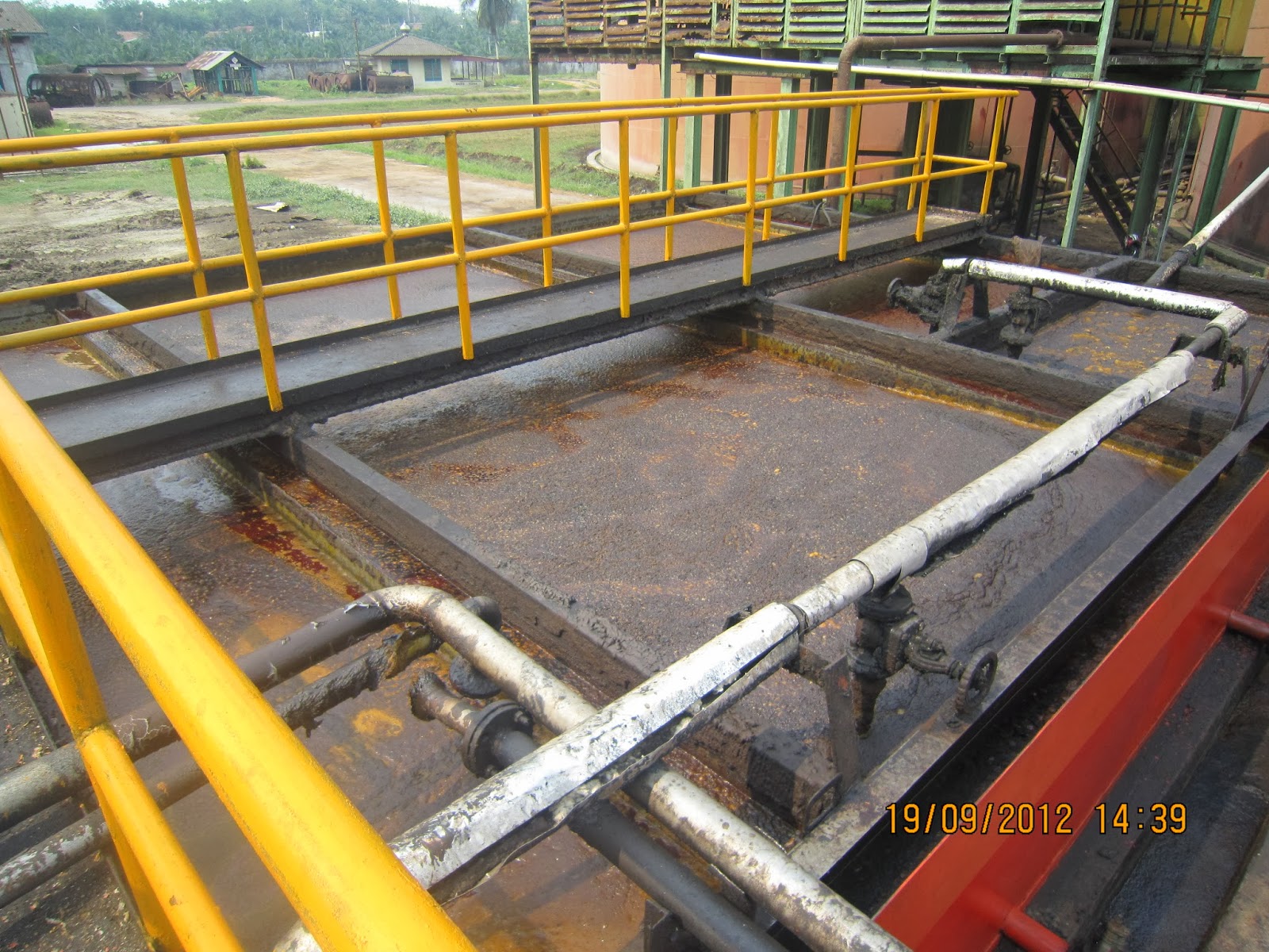 Palm Oil Mill: Standar Mutu Pengolahan Tandan Buah Sawit