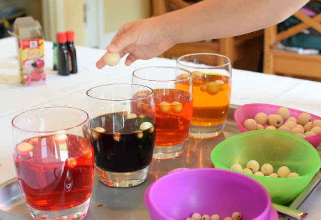Fall Necklace Craft With Dyed Wooden Beads | What Can We Do With Paper ...