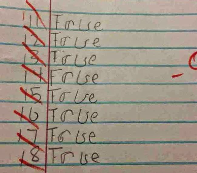 Student’s Funny Answers to 'True of False' Quiz - The Niger Times