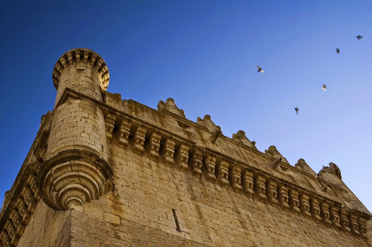 Glosario ilustrado de términos arquitectónicos y constructivos: MATACÁN