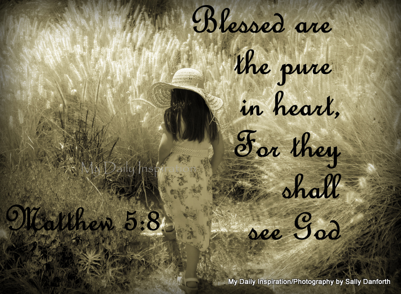 Blessed are the pure in heart