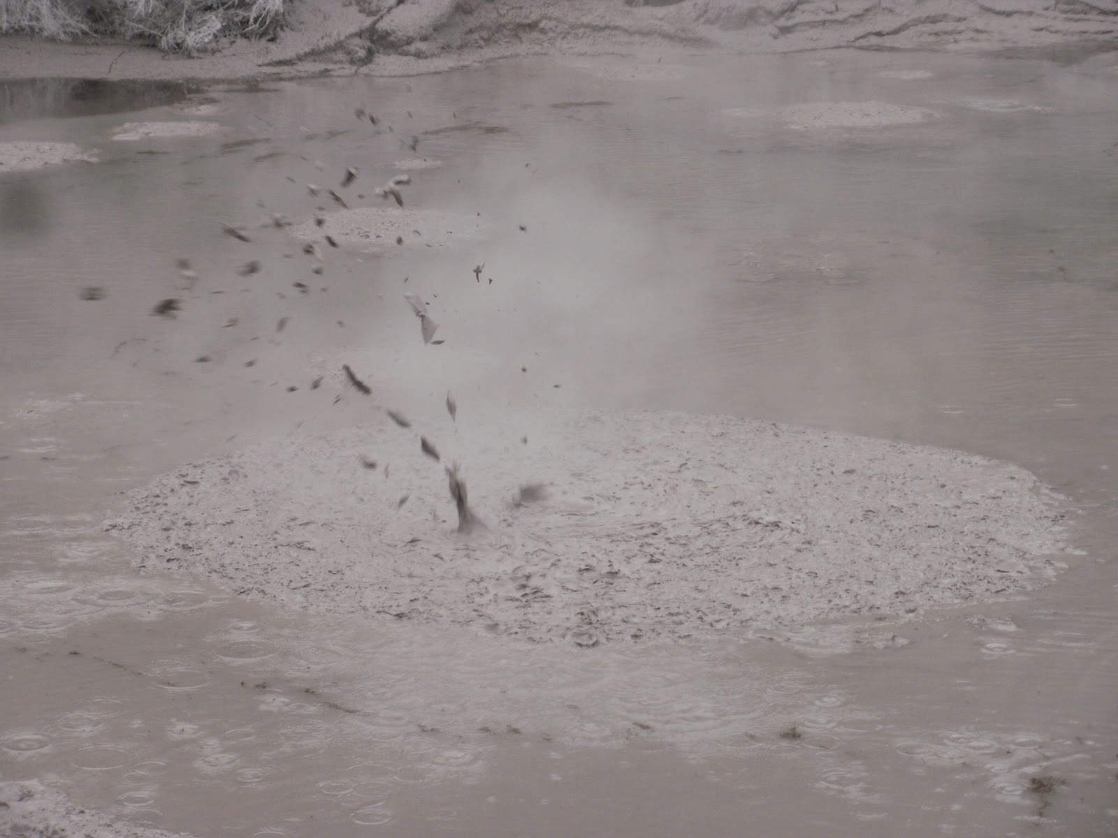 No direction home ... a complete unknown ... like a rolling luggager ...