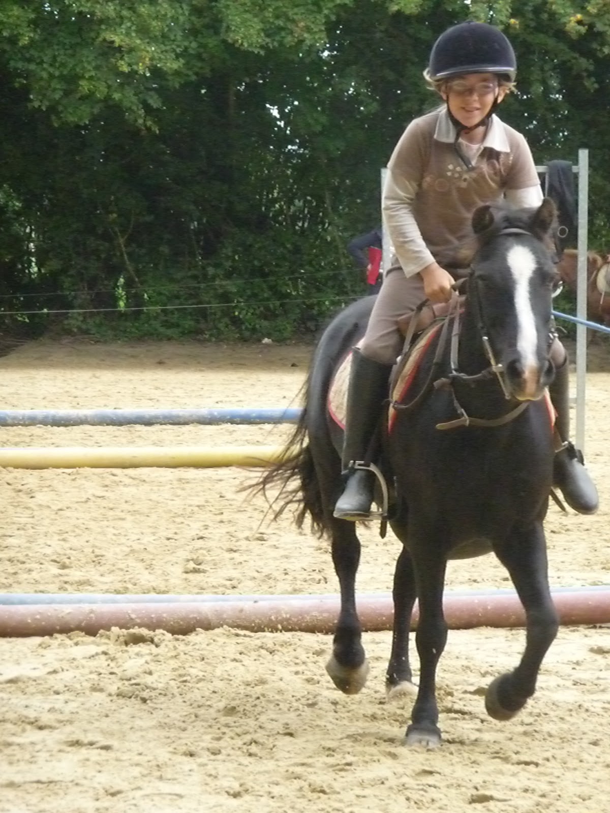 Poney Club d Alencon equitation: OEDIPE PONEY EN VENTE AU PONEY CLUB D ...