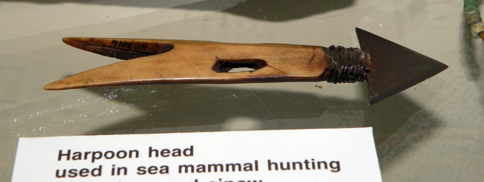 Elfshot: Researching the Beothuk Harpoon