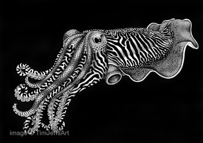 Tim Jeffs Art: Ink Drawings