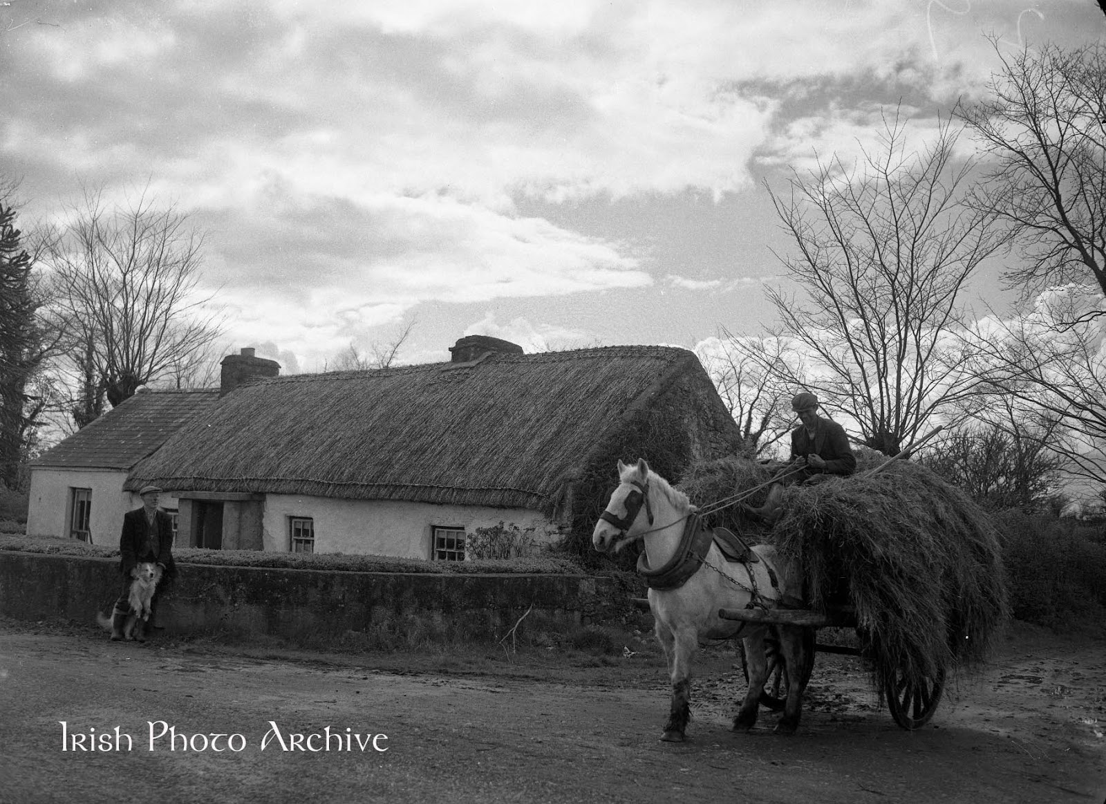 Irish Photo Archive: Making hay