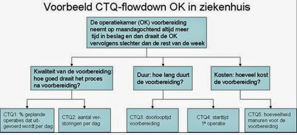 VOC (Voice of the customer) en CTQ-tree (Critical to quality)