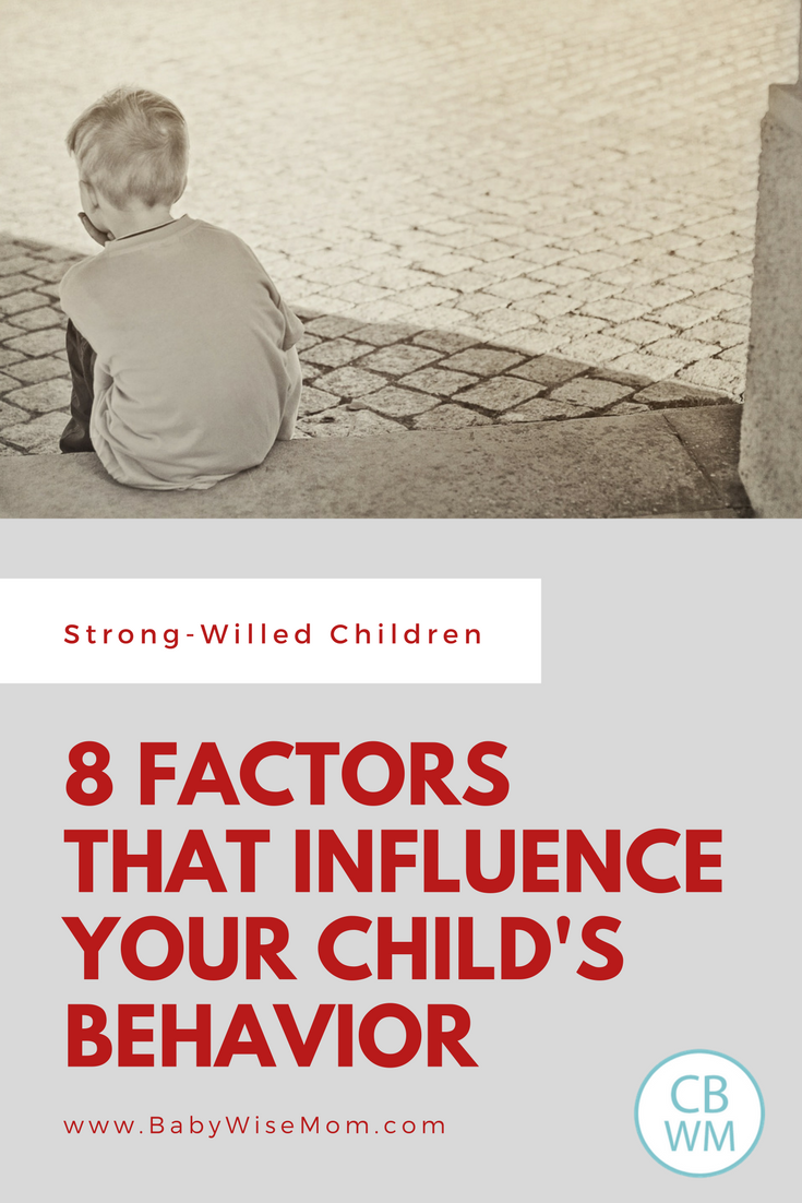 8 Factors That Influence Your Child's Behavior - Babywise Mom