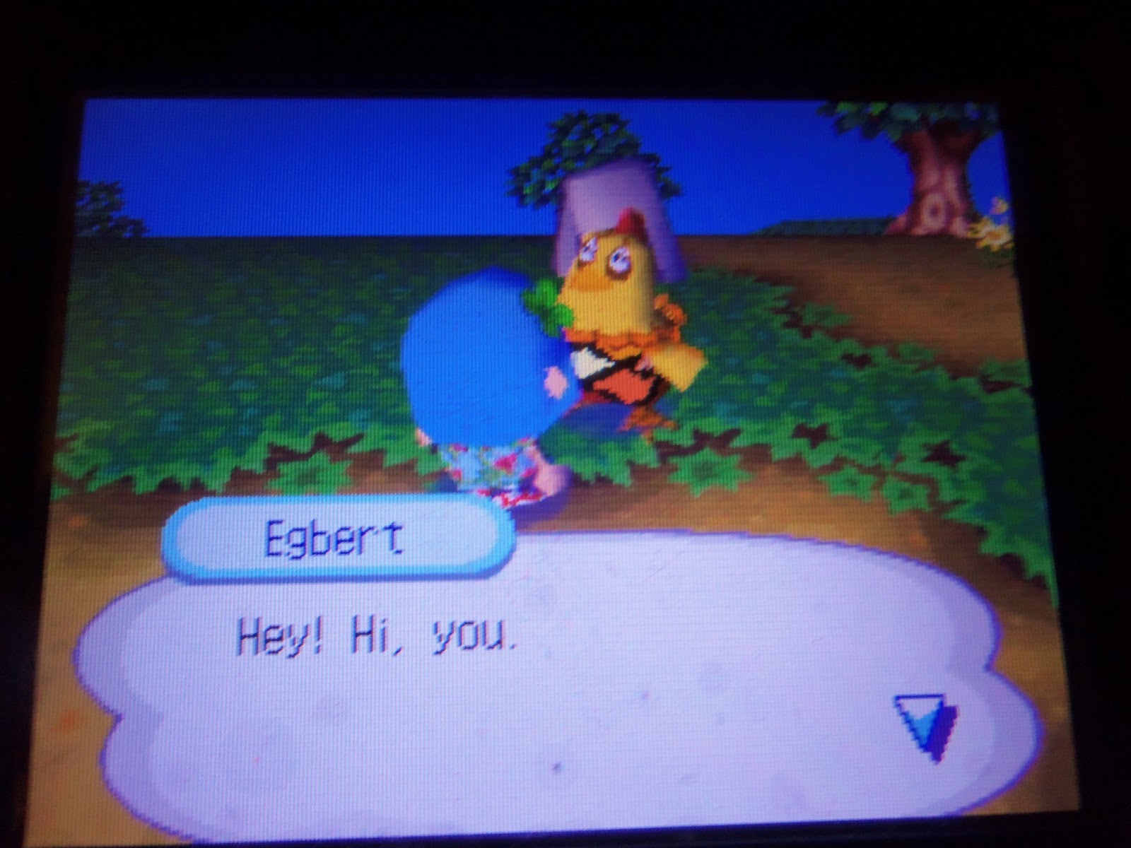 Animal Crossing Wild World: Turning Over a New Leaf