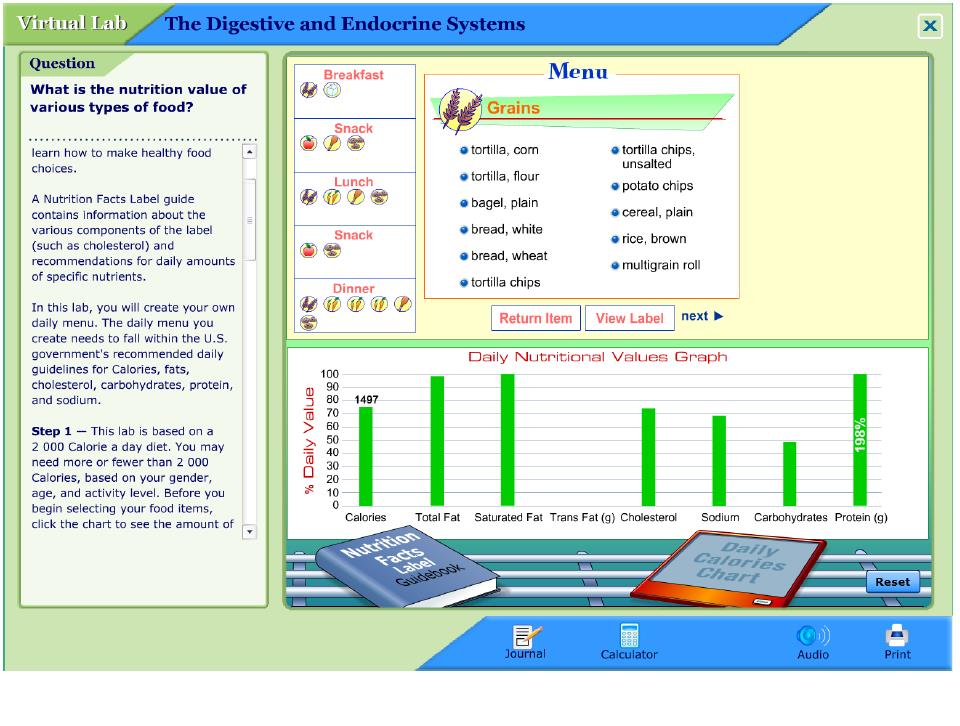 BIO 156, Fall 2015: Week 10. The Digestive and Endocrine Systems Lab