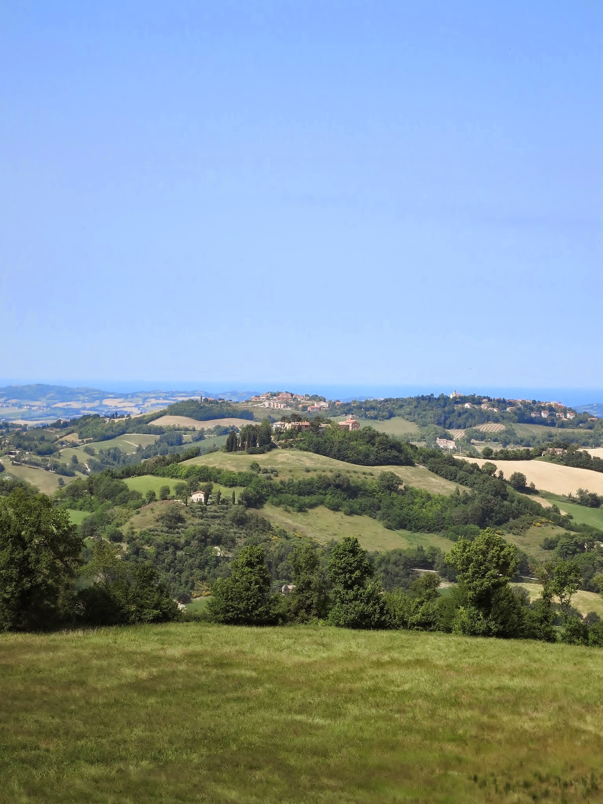 Itineris Mei: Il Monte San Bartolo tra vecchi e nuovi tracciati