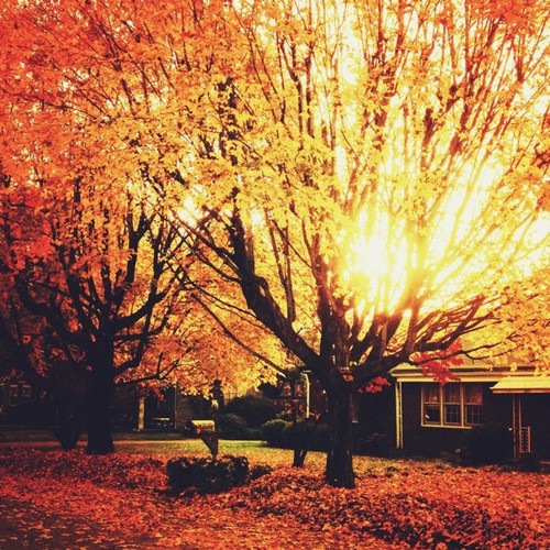 ModernSauce: Add some glitter to your 'Gram