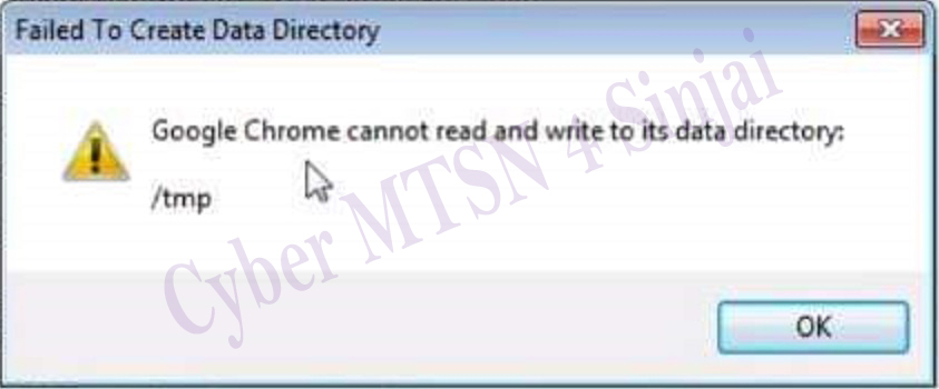 Google Chrome Cannot Read and Write To Its Data Directory | RS.COM