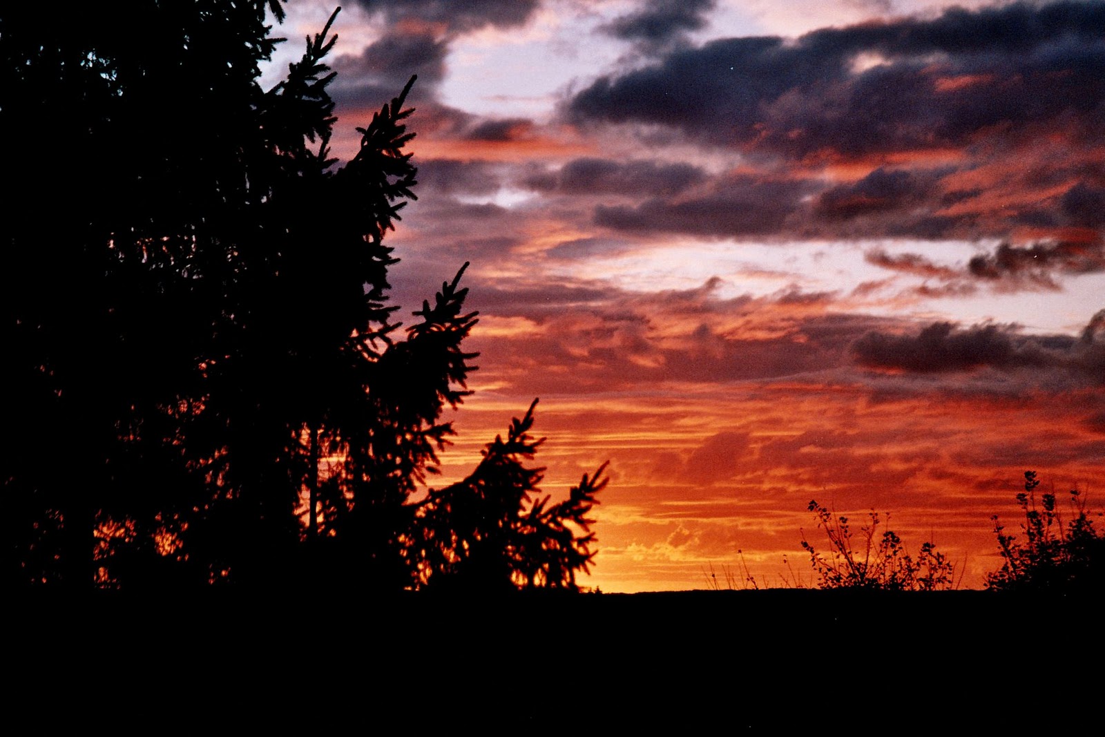 marinelionescu: rasarit de soare pe strada mea..