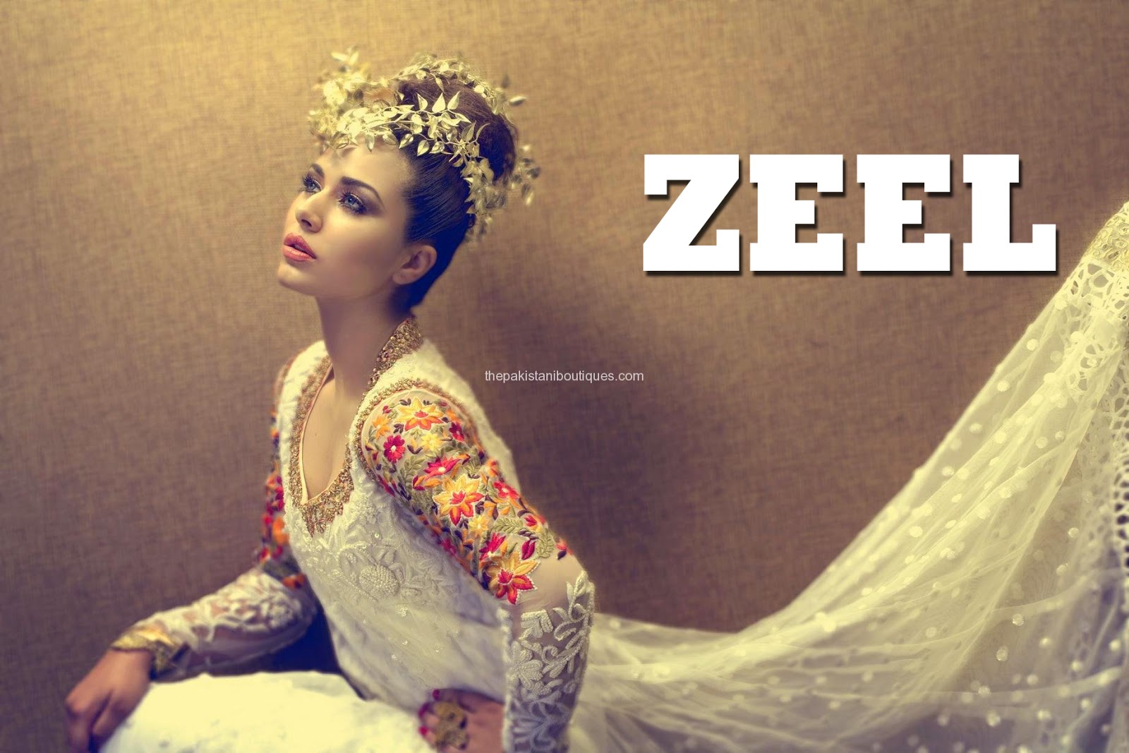 Zeel Pakistan: Zeel Pakistan