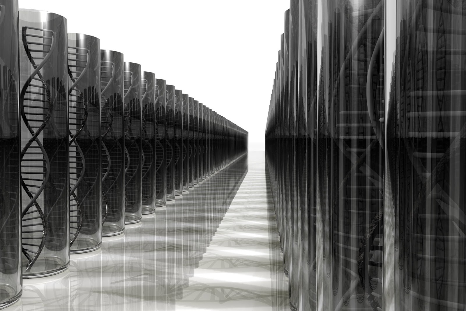 Memahami Gen dan Alel