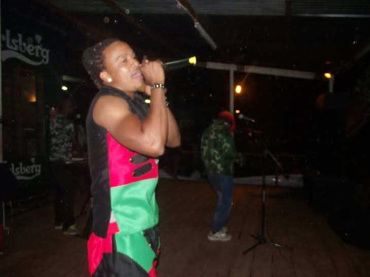 Dan Lu launches new album