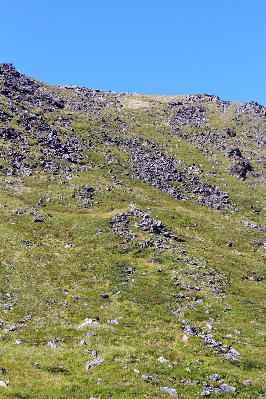 Nome, Alaska: Sledge Island -Trip 2