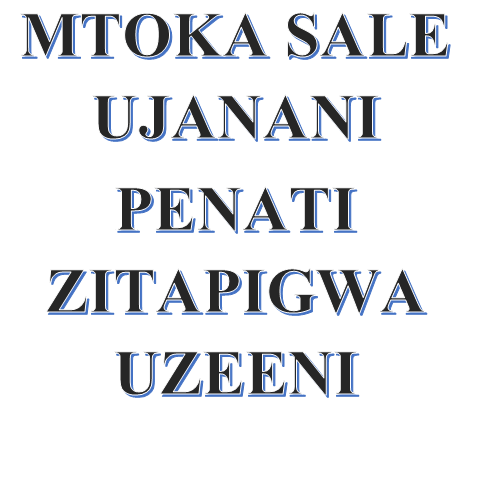 ELIMIKA NA UFURAHIE: MANENO YA BUSARA
