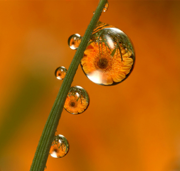 Creative Constraint: Reflection, Refraction and Fresnel