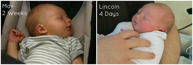 Max & Me: My Little Look Alikes