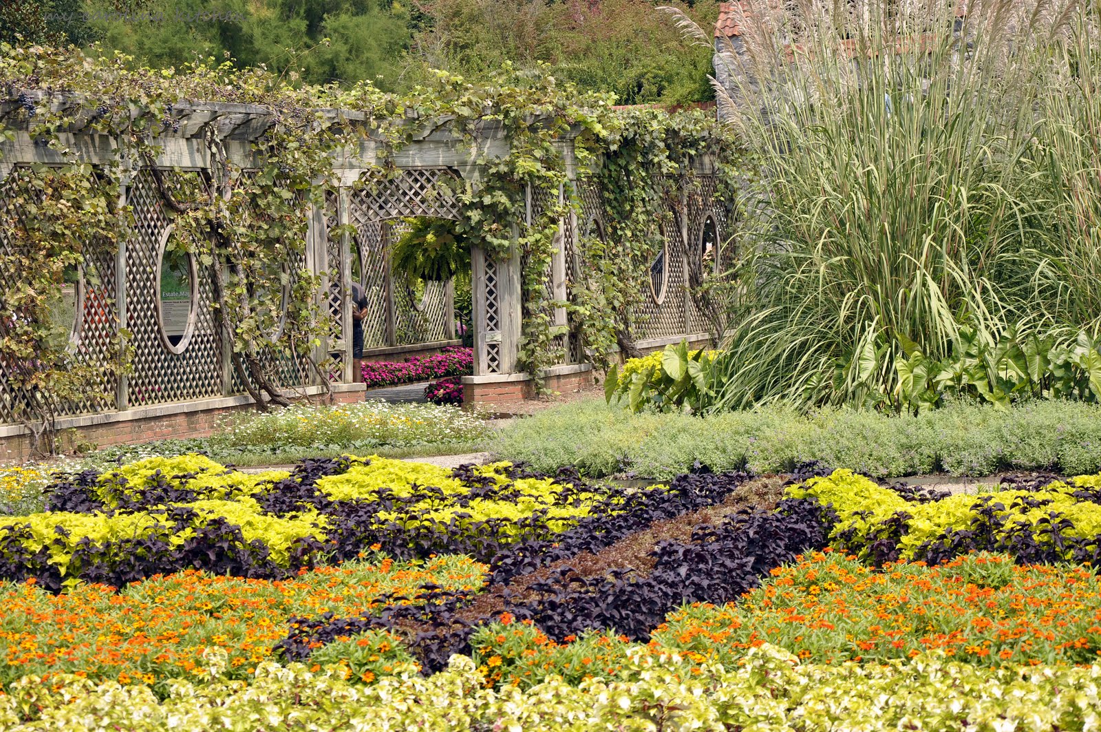 My Carolina Kitchen: A Visit to the Biltmore Estate, Gardens ...