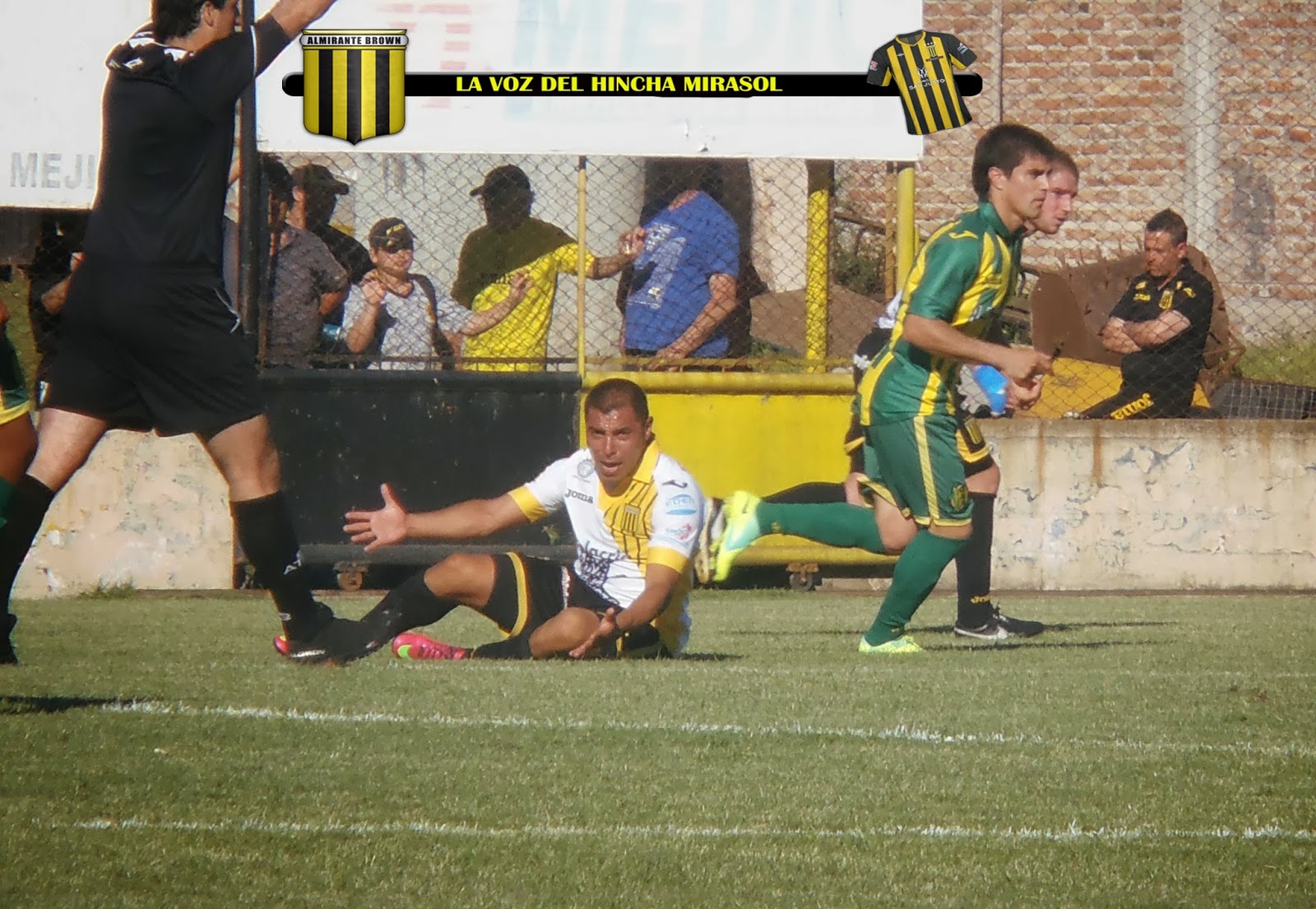 La voz del hincha mirasol: 11/01/2013 - 12/01/2013