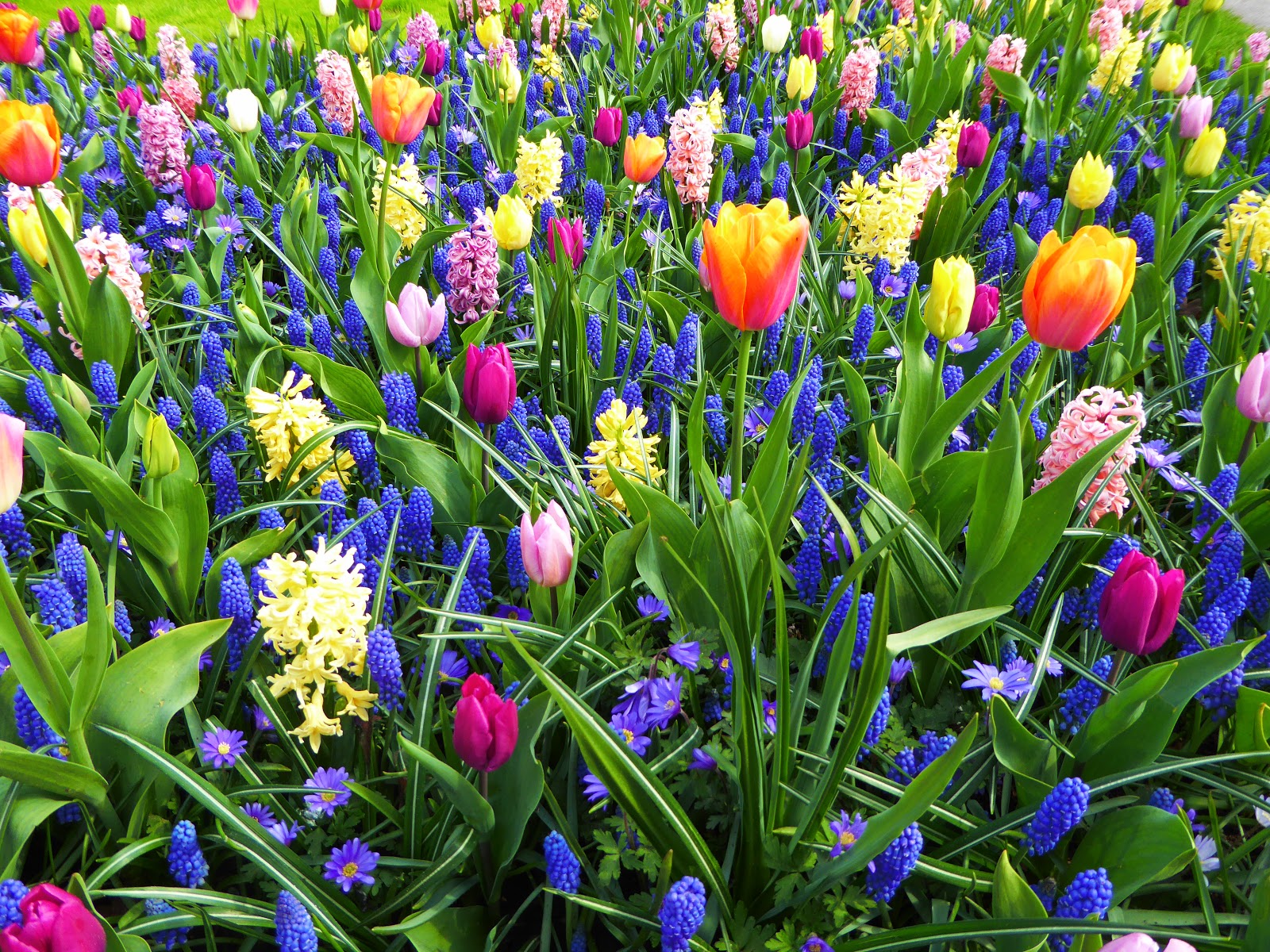 Loaded with Spring Colour