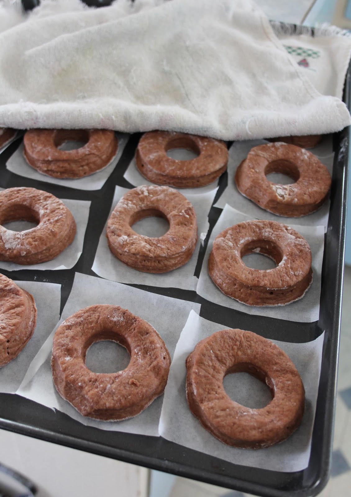 Jo and Sue: Turtle Donuts (Big Batch)
