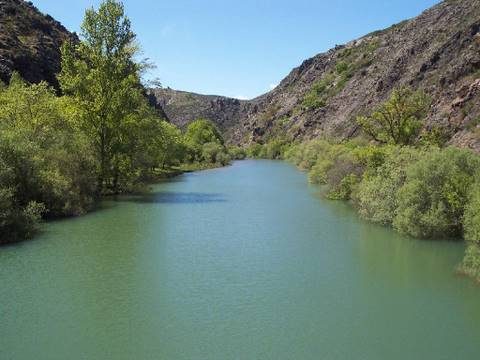Teología, política y sociedad: FUÍ AL RÍO...