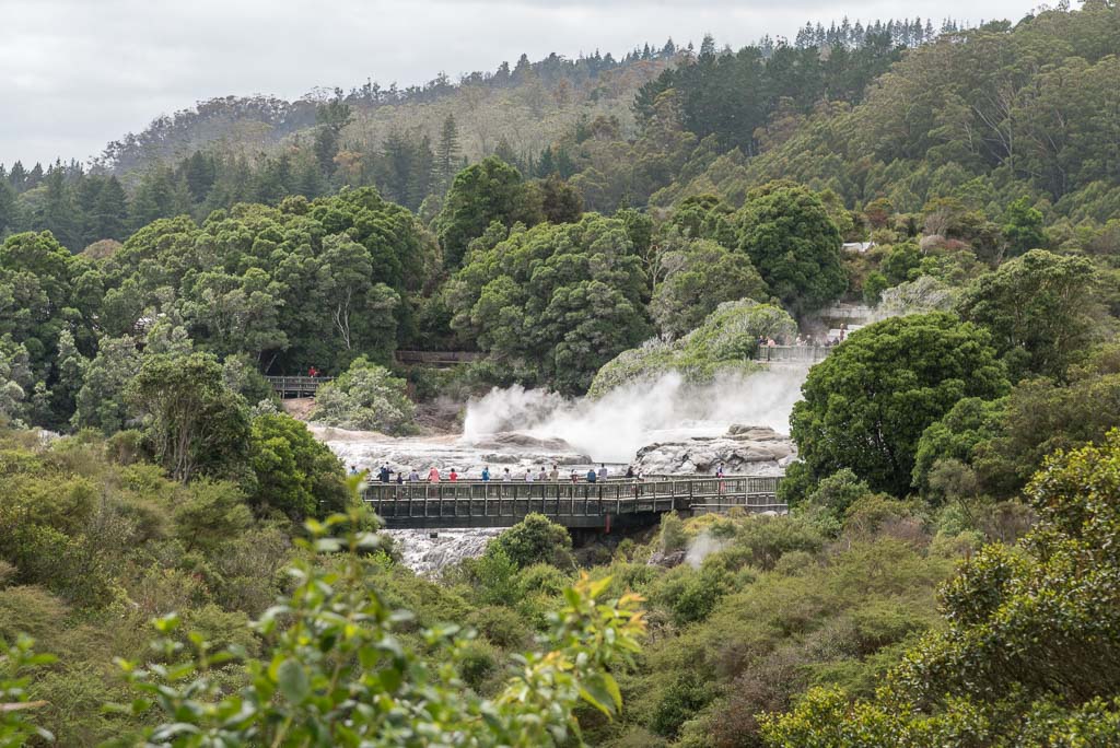 Tauranga & Rotorua, New Zealand