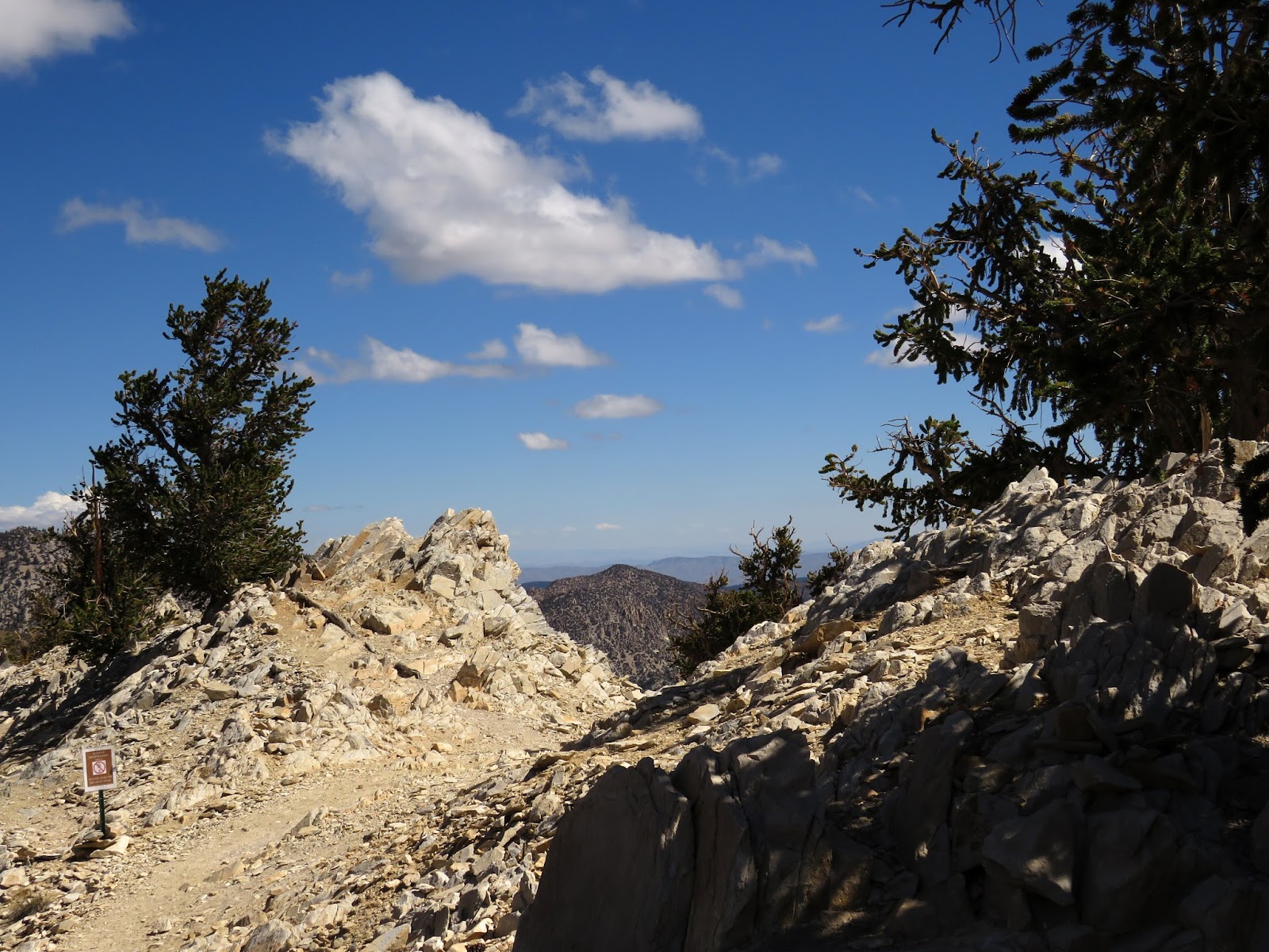 Around the Bend Friends ®: Ancient Bristlecone Forest (Schulman Grove ...