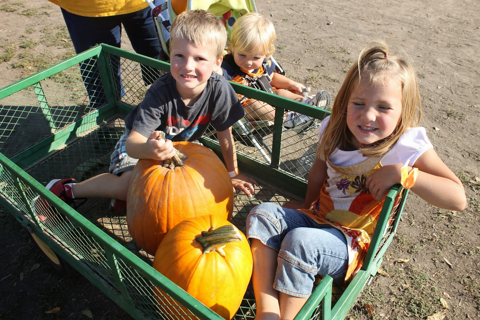 Gorsch Moment in Time: Pumpkin Farm