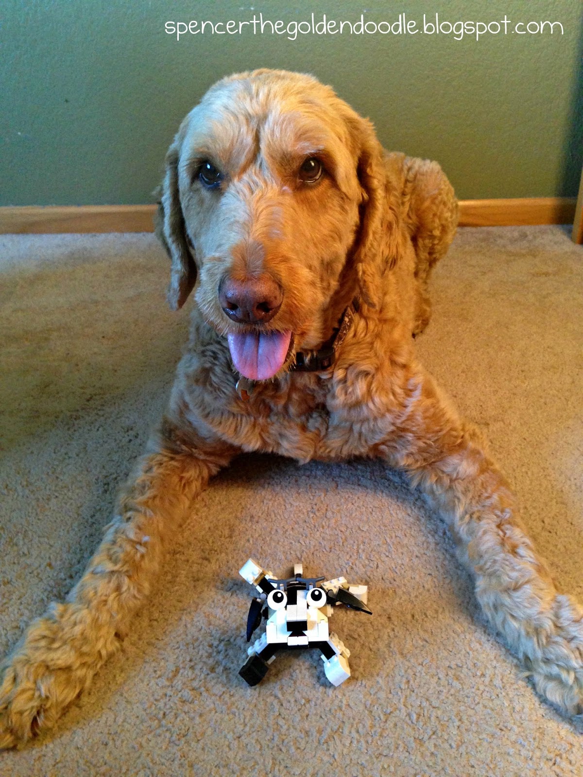 Spencer the Goldendoodle: Lego Dog