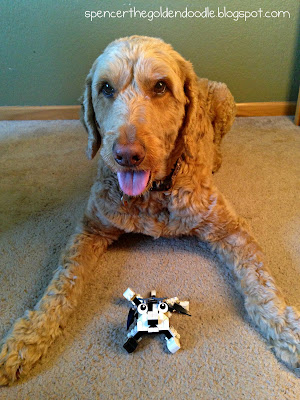 Spencer the Goldendoodle: Lego Dog