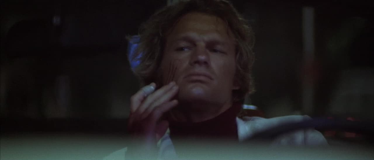 Volcano Cat, the Pop-Culture hangout