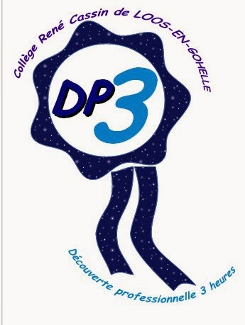 DP3 du collège René CASSIN de LOOS-EN-GOHELLE