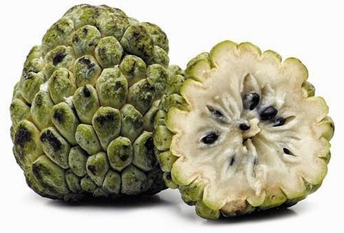 Camillos Frutas e Companhia: PINHA (Fruta do Conde)