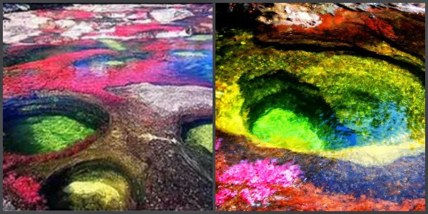 The River of Five Colors - Geology In