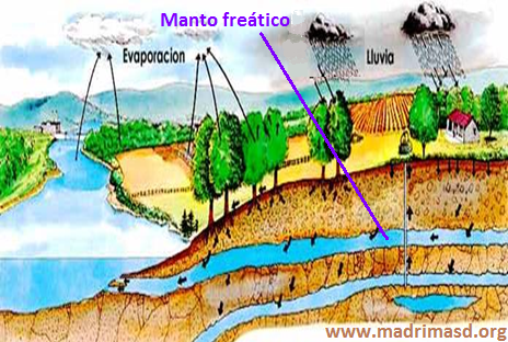 Geovida A.C. Cultura Ambiental