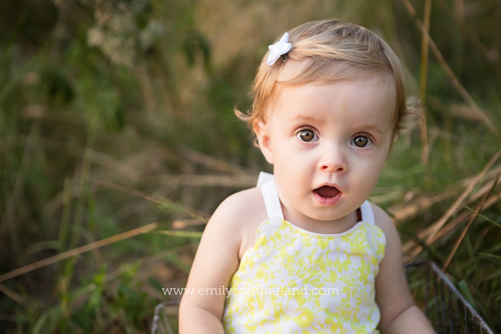 Emily's Little World: Larkin's First Birthday Portraits | St. Louis ...