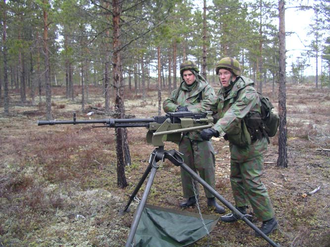welcome to the world of weapons: NSV machine gun