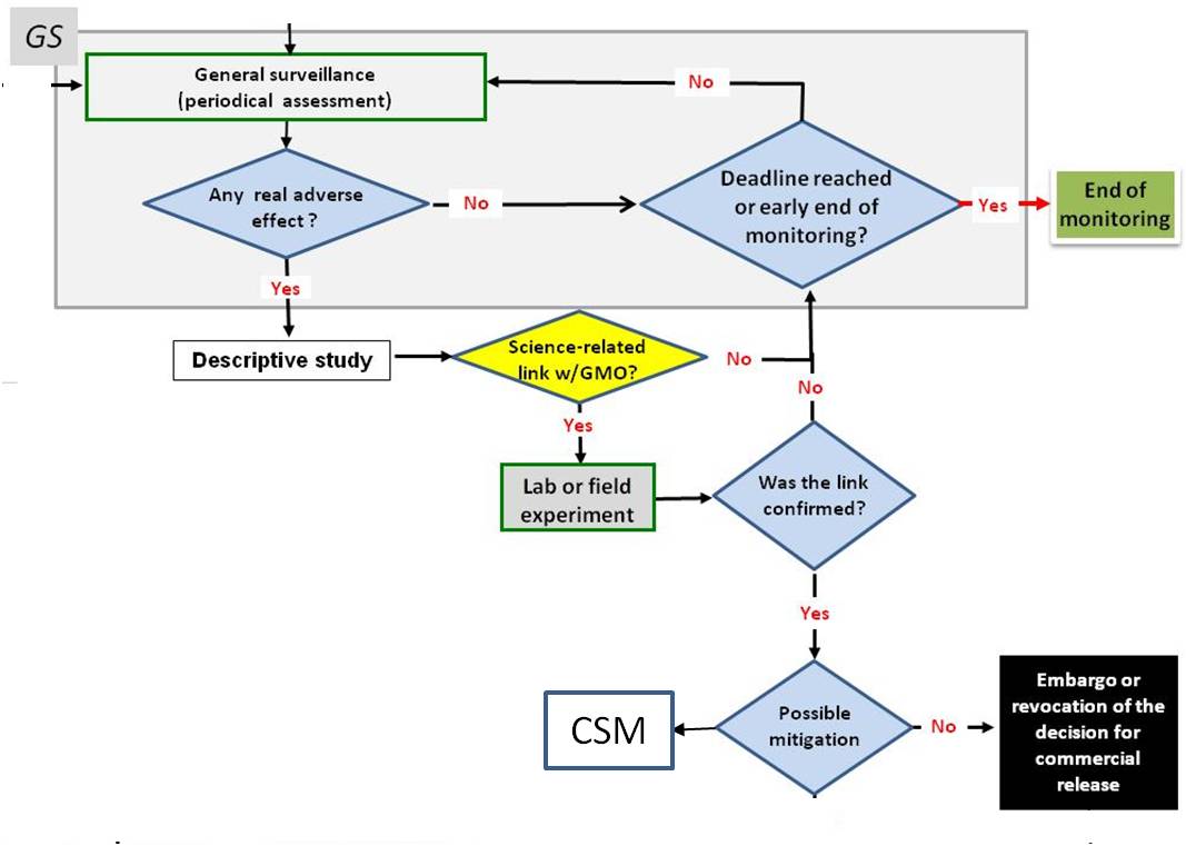 GenPeace: dezembro 2011