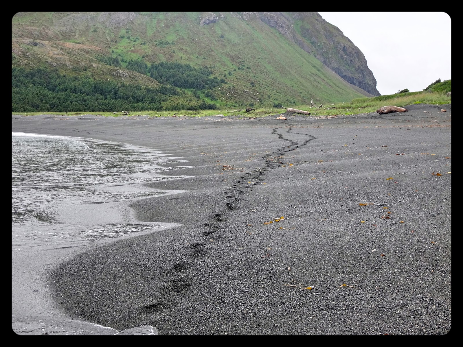 Florida Beaches To The Bering Sea