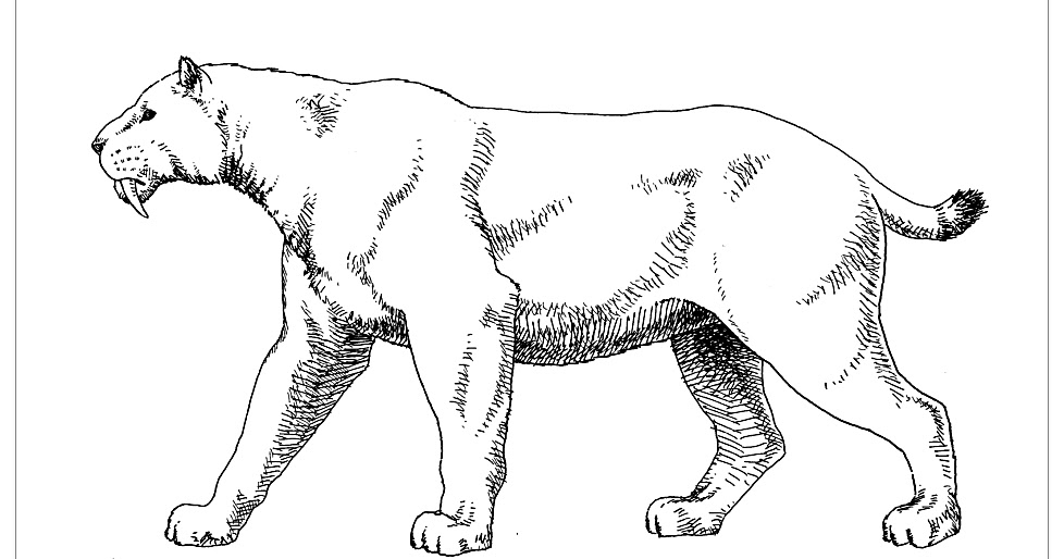 Coloring book pdf download